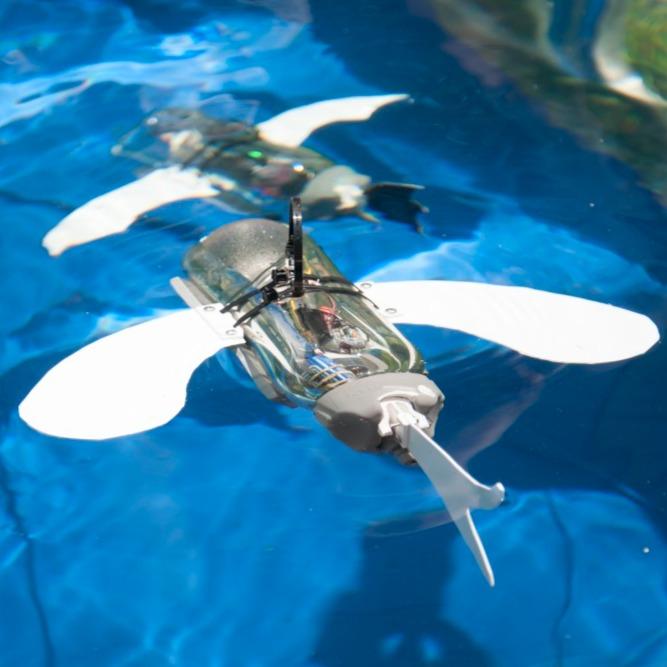 SeaGlide Glider Hull Pack (v2) – RoboNation